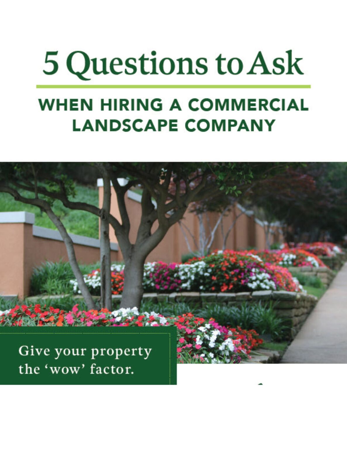 Envision Landscape Group – Full-service commercial landscape company ...